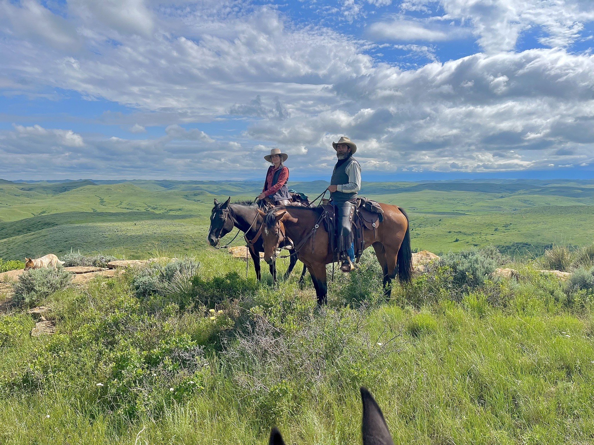 About the Noels – Dry Creek Wrangler School